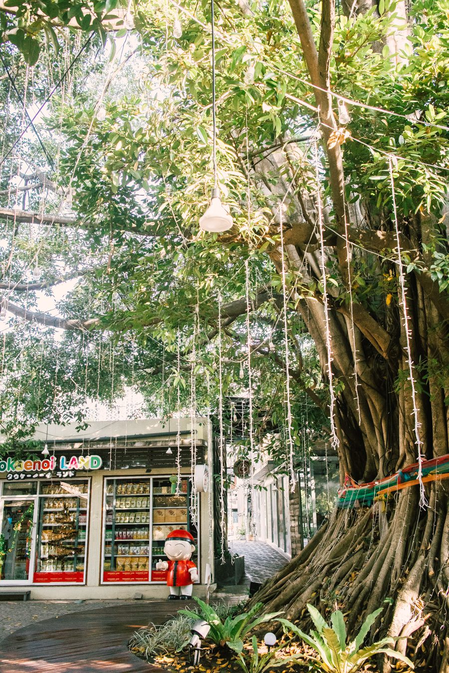 Chiang Mai Nimman Guide | Bow and Arrow photography