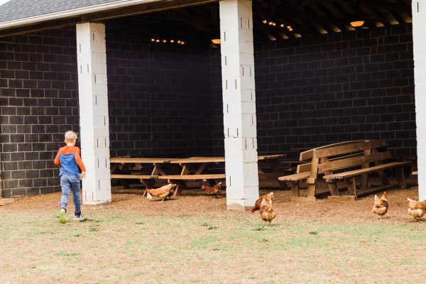 Fredericksburg va Braehead Farm | Bow and Arrow photography