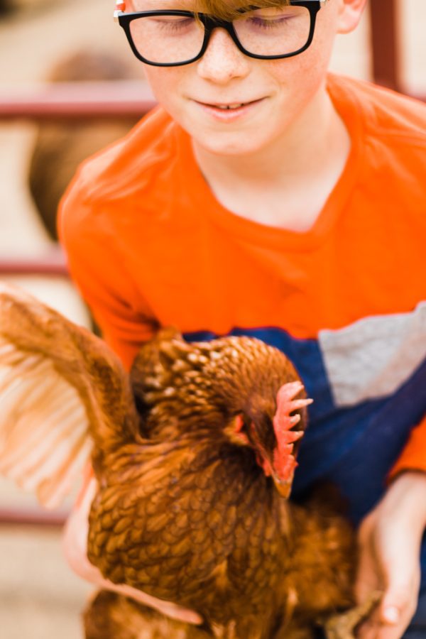 Fredericksburg va Braehead Farm | Bow and Arrow photography