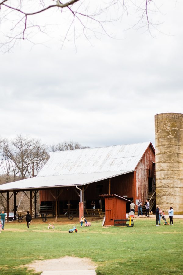 Fredericksburg va Braehead Farm | Bow and Arrow photography