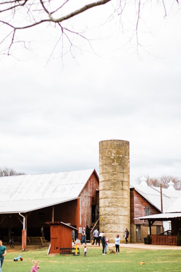 Fredericksburg va Braehead Farm | Bow and Arrow photography