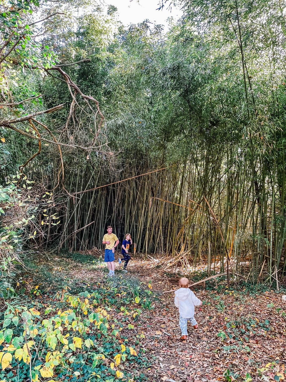 3 Best parks in Fredericksburg Virginia | Bow and Arrow photography